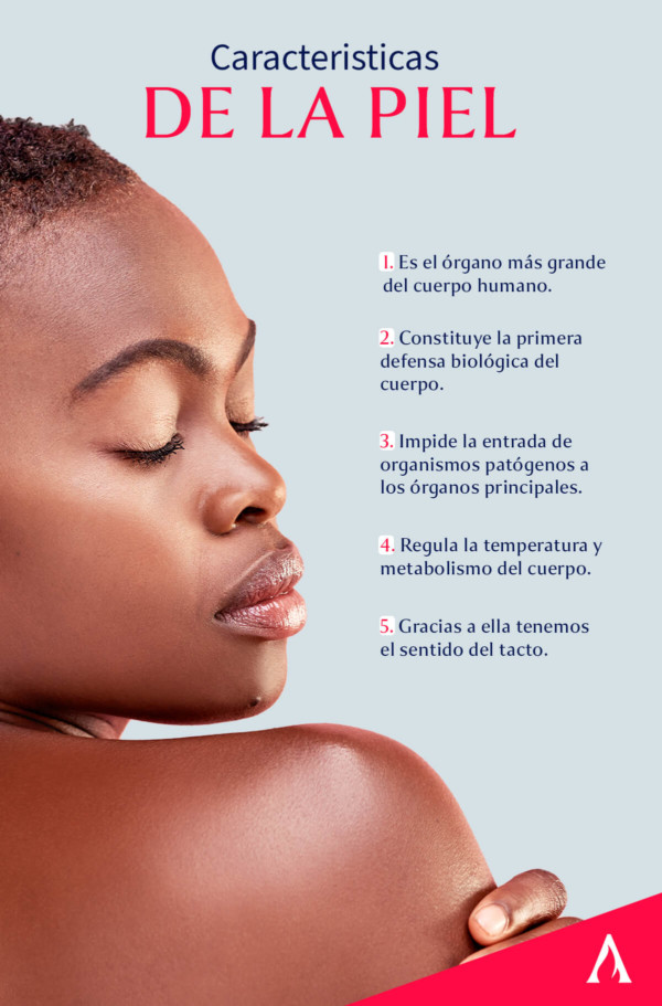 Tipos de piel: características y cuidados| Aprende Institute