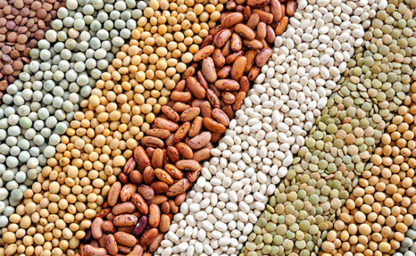 Soya texturizada: recomendaciones para prepararla | Aprende Institute