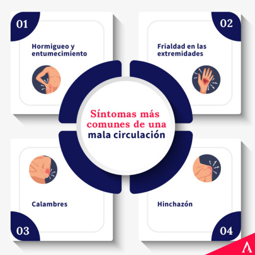 Síntomas de una mala circulación | Aprende Institute