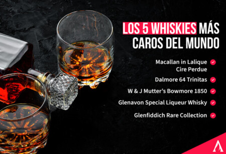 Conoce los 5 whiskys más caros del mundo | Aprende Institute