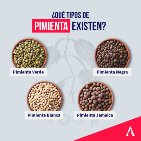 Tipos de pimienta y sus características | Aprende Institute