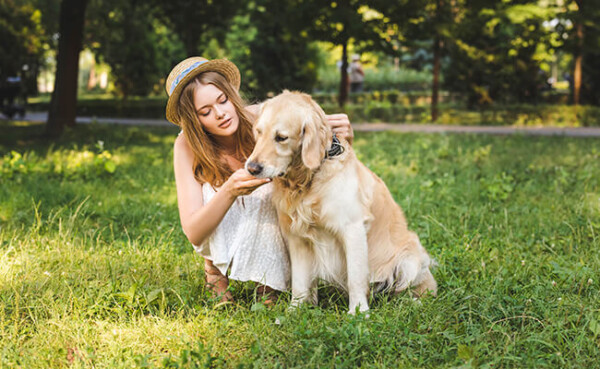 ¿El comportamiento de mi perro es normal? | Aprende Institute