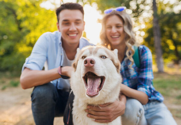 ¿Cómo educar a tu perro para que te defienda? | Aprende Institute