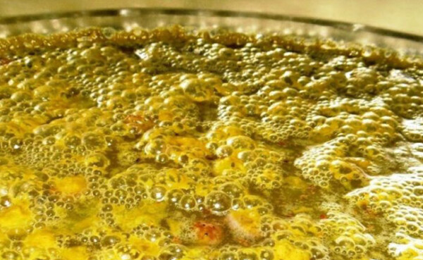 ¿Cómo se prepara el vino blanco? | Aprende Institute