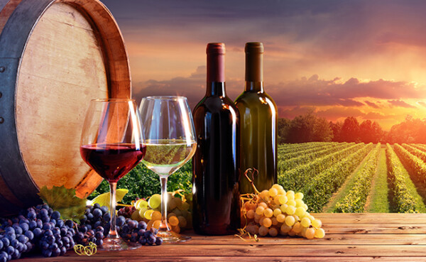 Vino seco: ¿Qué es y por qué es más saludable? | Aprende Institute