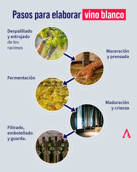 ¿Cómo se prepara el vino blanco? | Aprende Institute