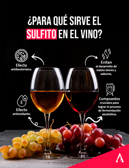 Sulfito en el vino: ¿Qué es y para qué sirve? | Aprende Institute