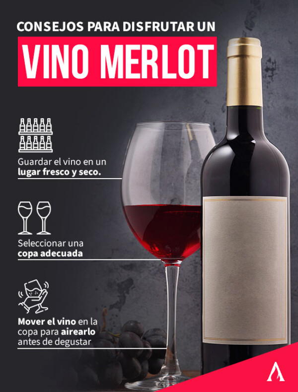 ¿Qué tipo de vino es el Merlot? | Aprende Institute